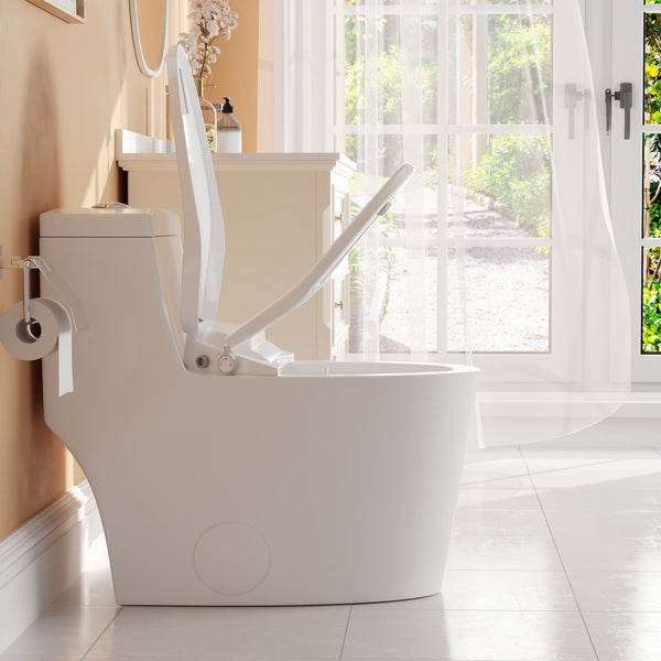 DeerValley DV-1S0028 Elongated Manual Bidet Toilet Seat with Self Clea ...