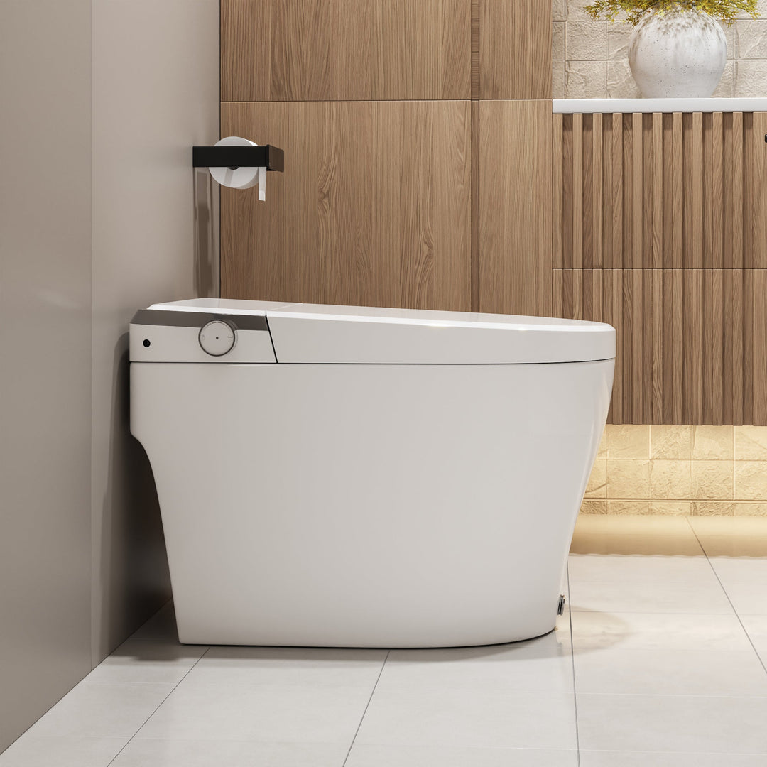 DeerValley DV-1S0029 Smart Bidet Toilet, One-Piece Elongated Smart Toi ...