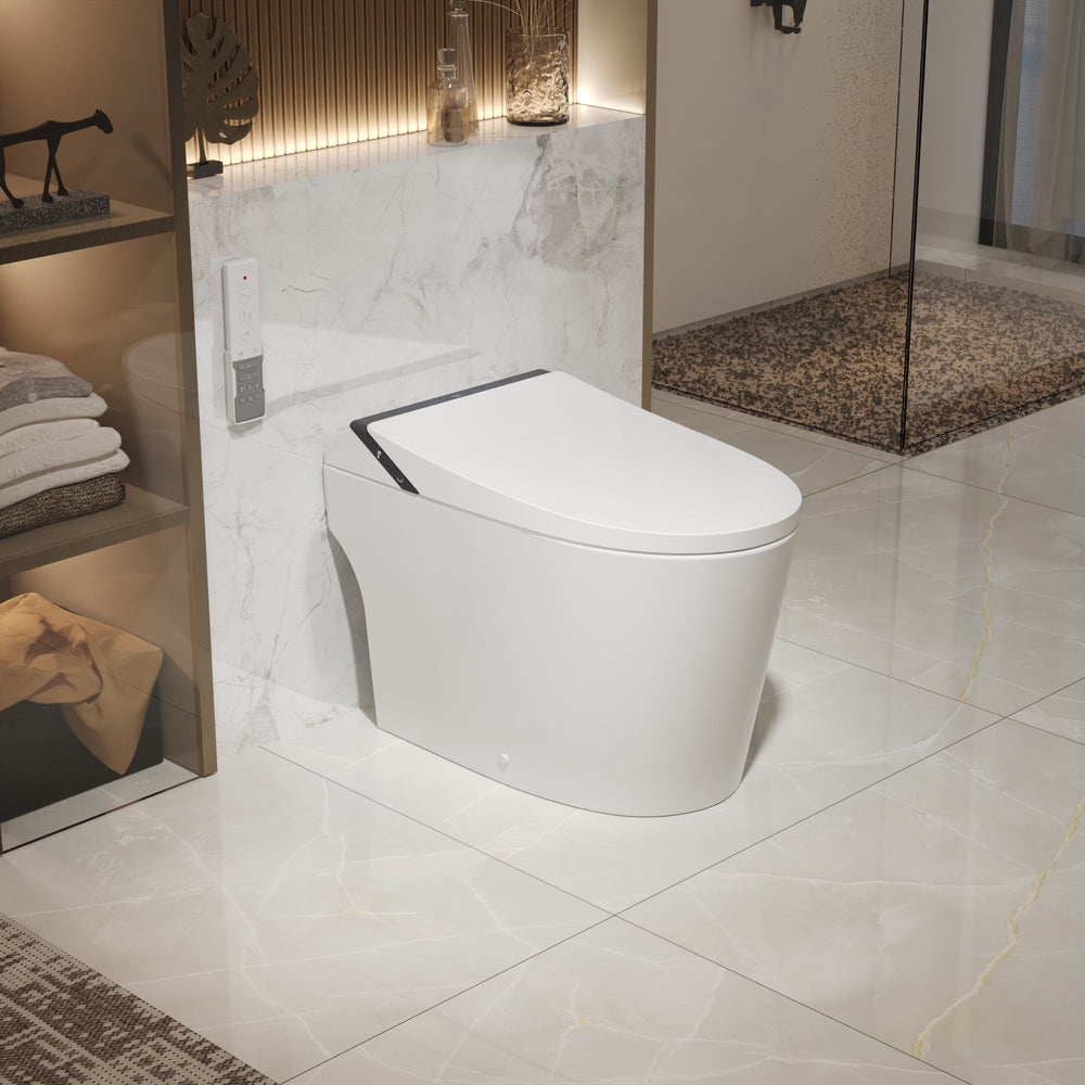DeerValley DV-1S0289 / DV-1S0289-V3 ADA Smart Toilet with Foam Shield ...
