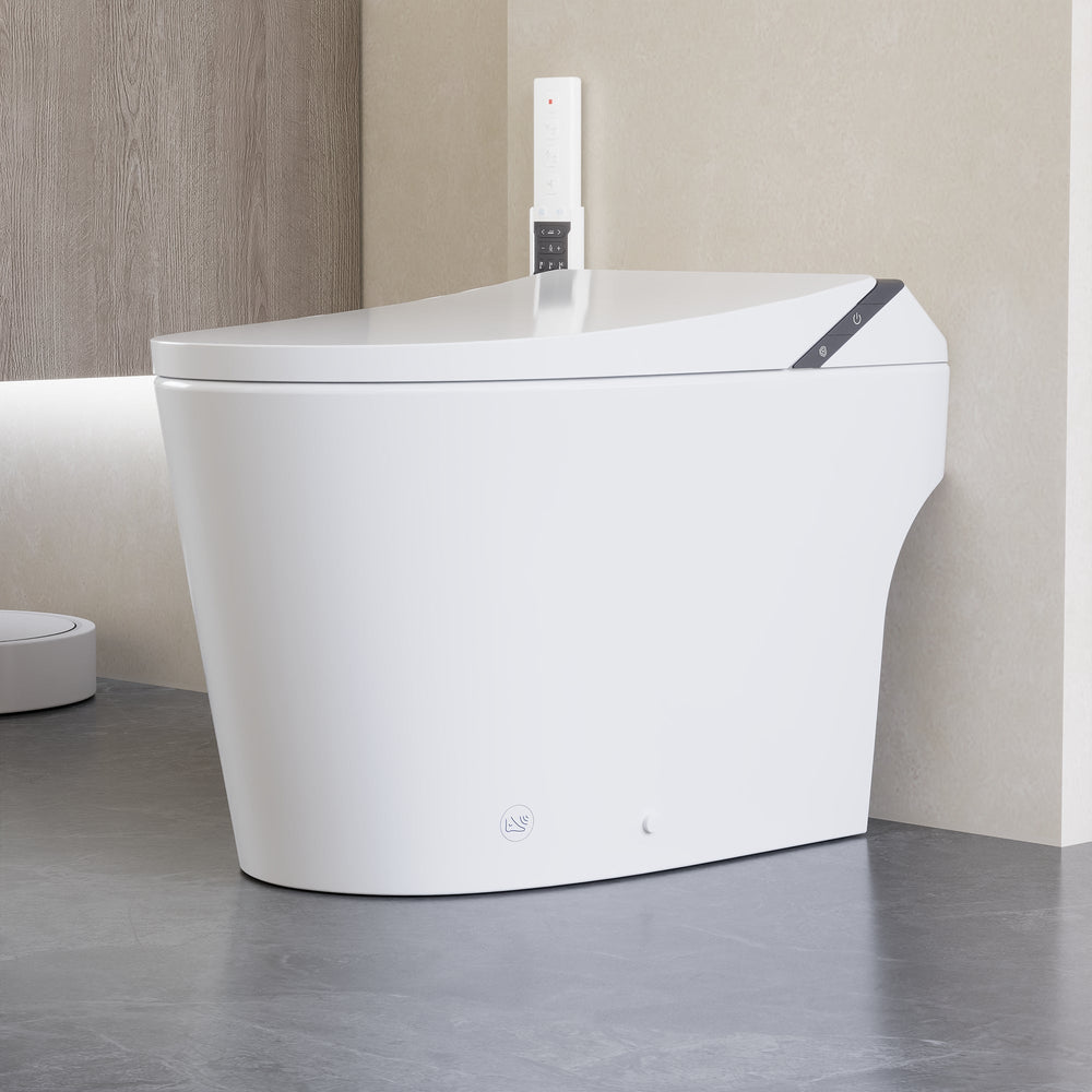 DeerValley DV-1S0289 / DV-1S0289-V3 ADA Smart Toilet with Foam Shield ...