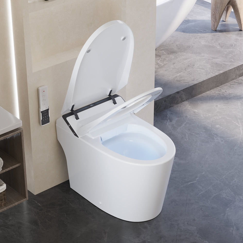 DeerValley DV-1S0289 / DV-1S0289-V3 ADA Smart Toilet with Foam Shield ...